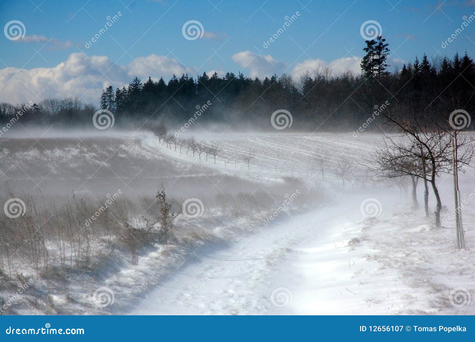 Snow blizzard 2 stock image. Image of snow, road, wood - 12656107