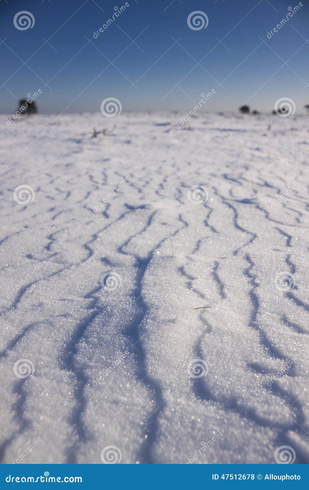 Snow is Blown into Rippled Patterns Stock Photo - Image of tree, powder ...