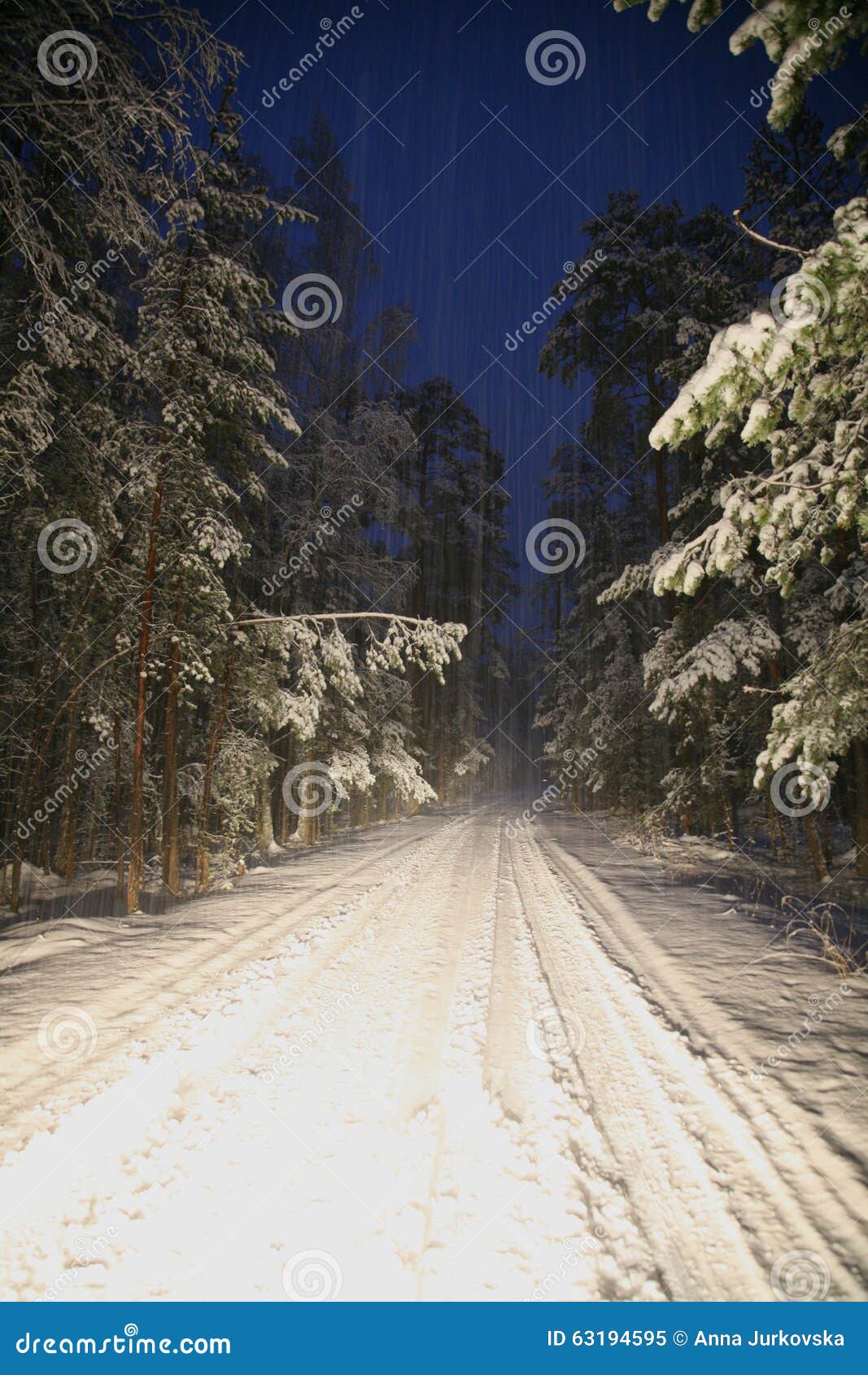 Snow-bound Road in the Forest at Nigh Stock Image - Image of pine ...