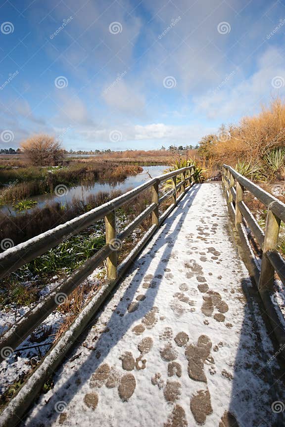 Snow on bridge stock photo. Image of path, bridge, wood - 24519614