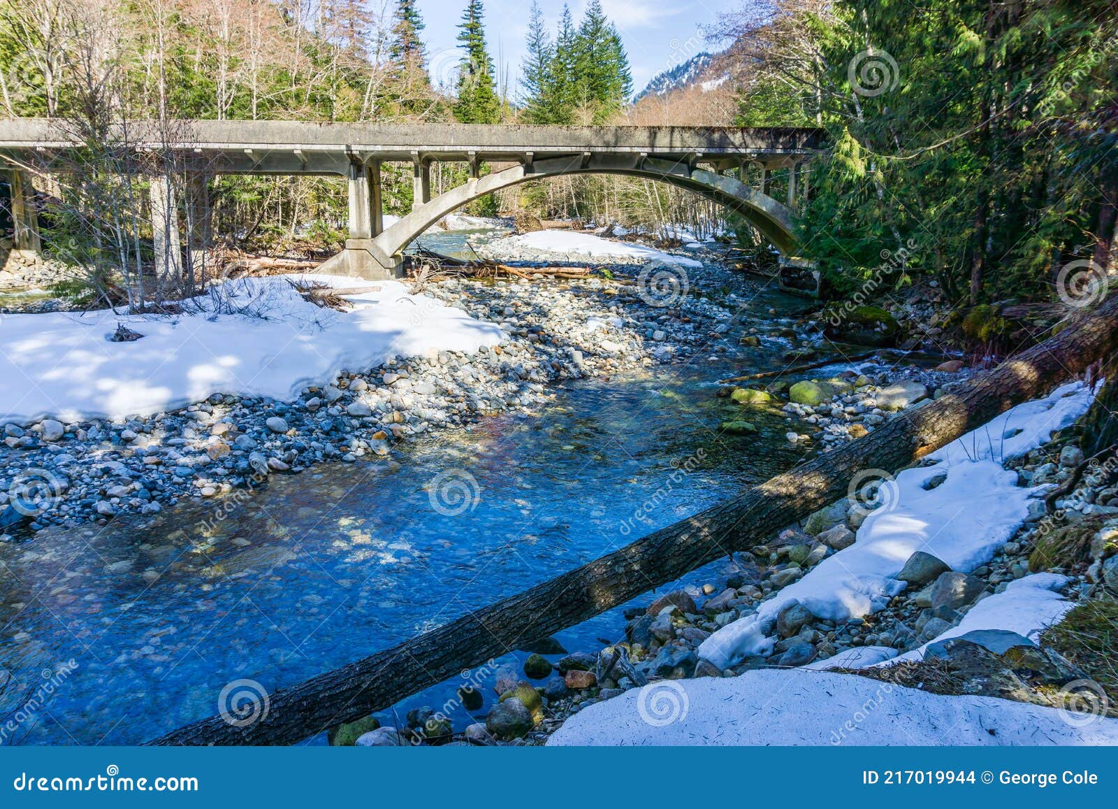 Snow Bridge and Creek stock photo. Image of trees, bridges - 217019944