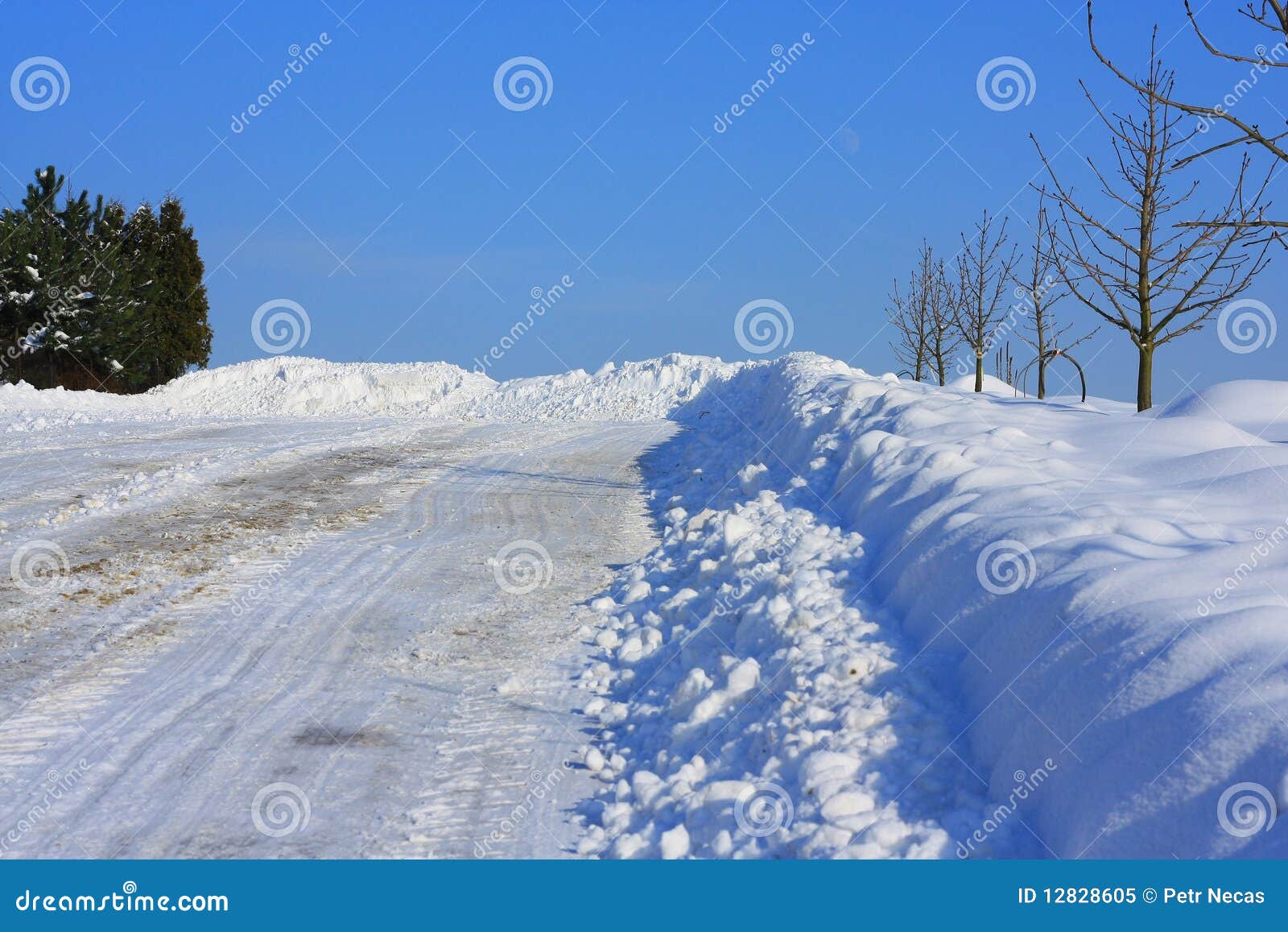Snow calamity stock image. Image of frozen, landscape - 12828605