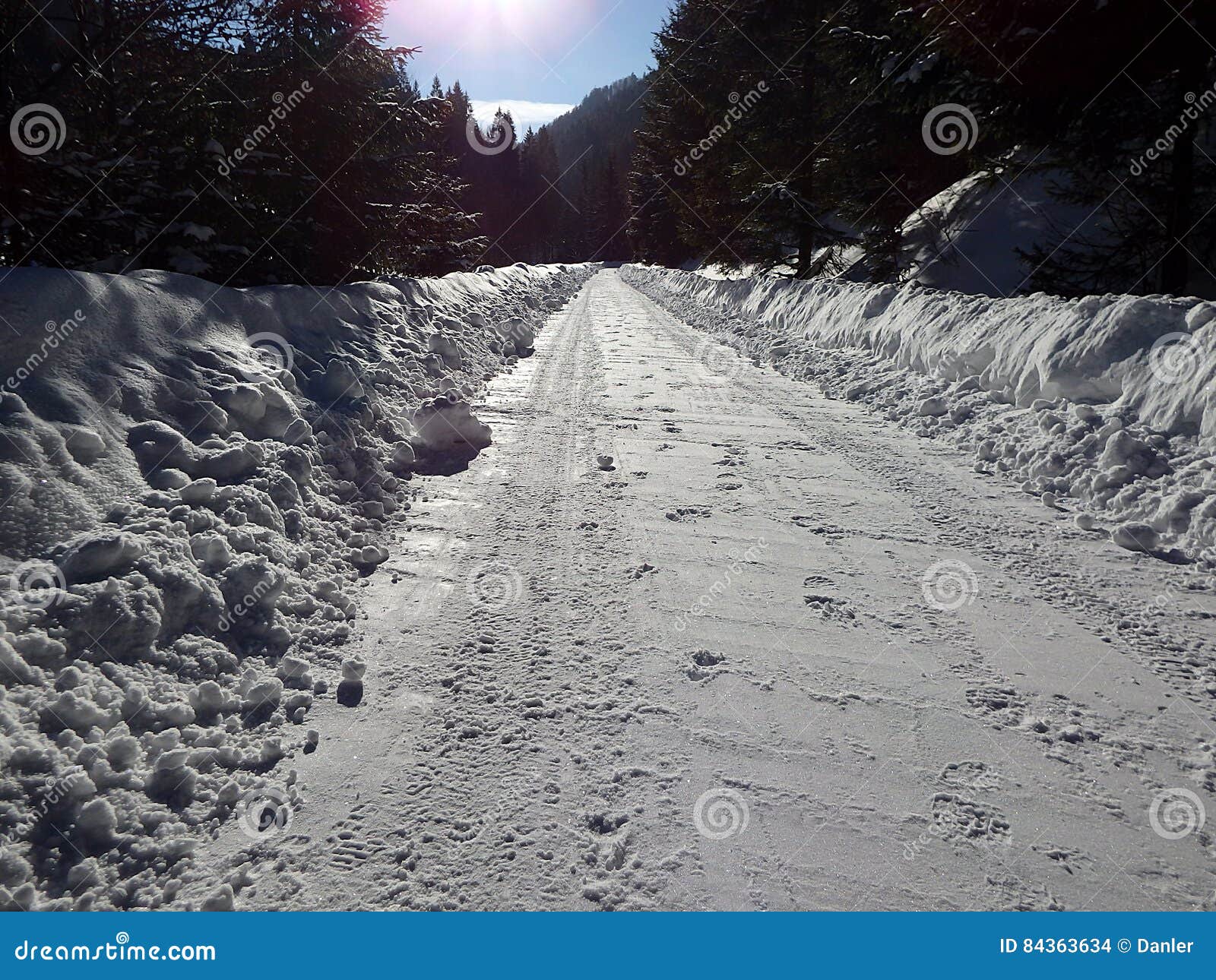 Snow Calamity on Forest Road Stock Photo - Image of season, scene: 84363634