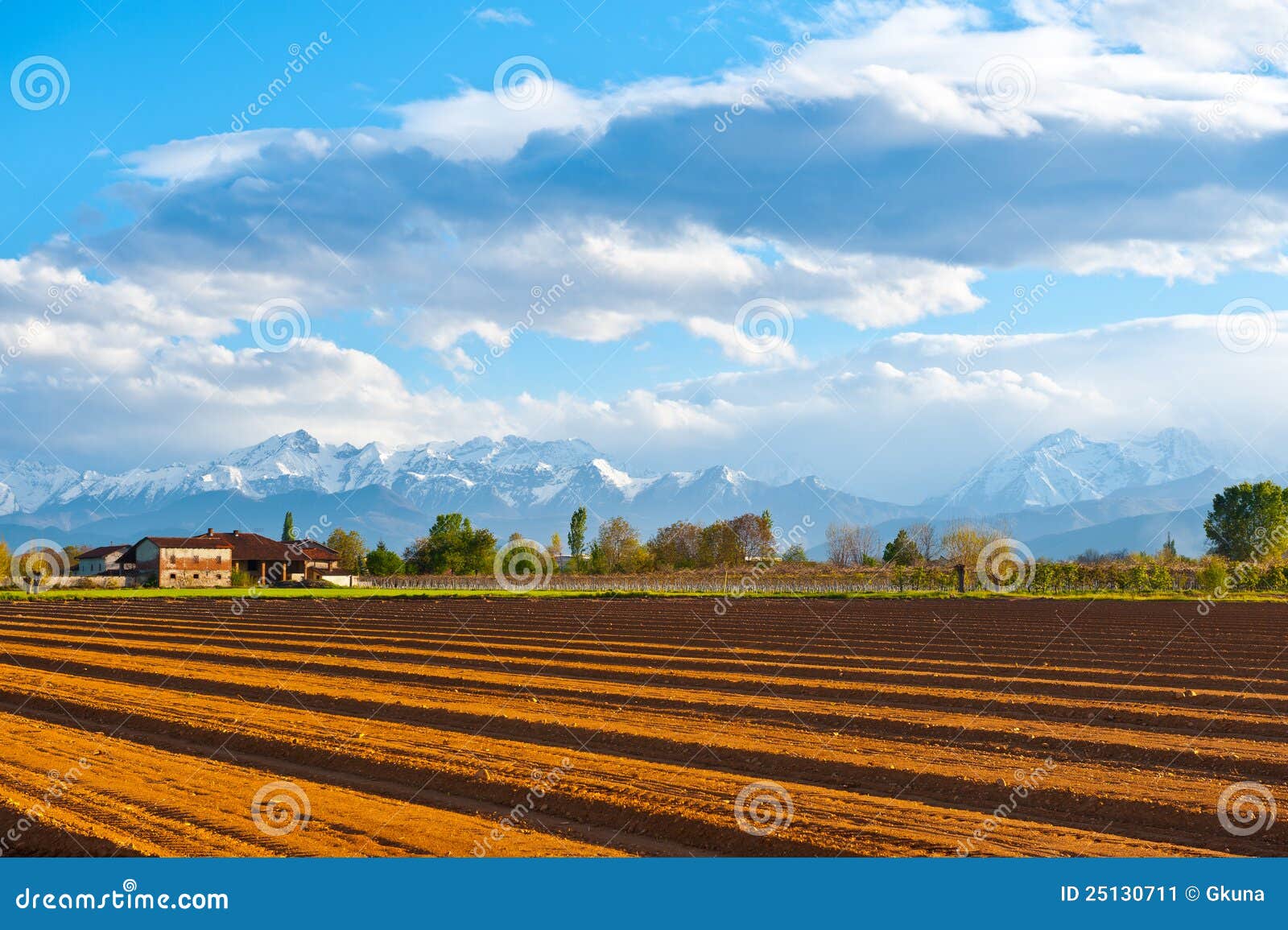 Snow-capped Alps stock image. Image of landscape, grass - 25130711