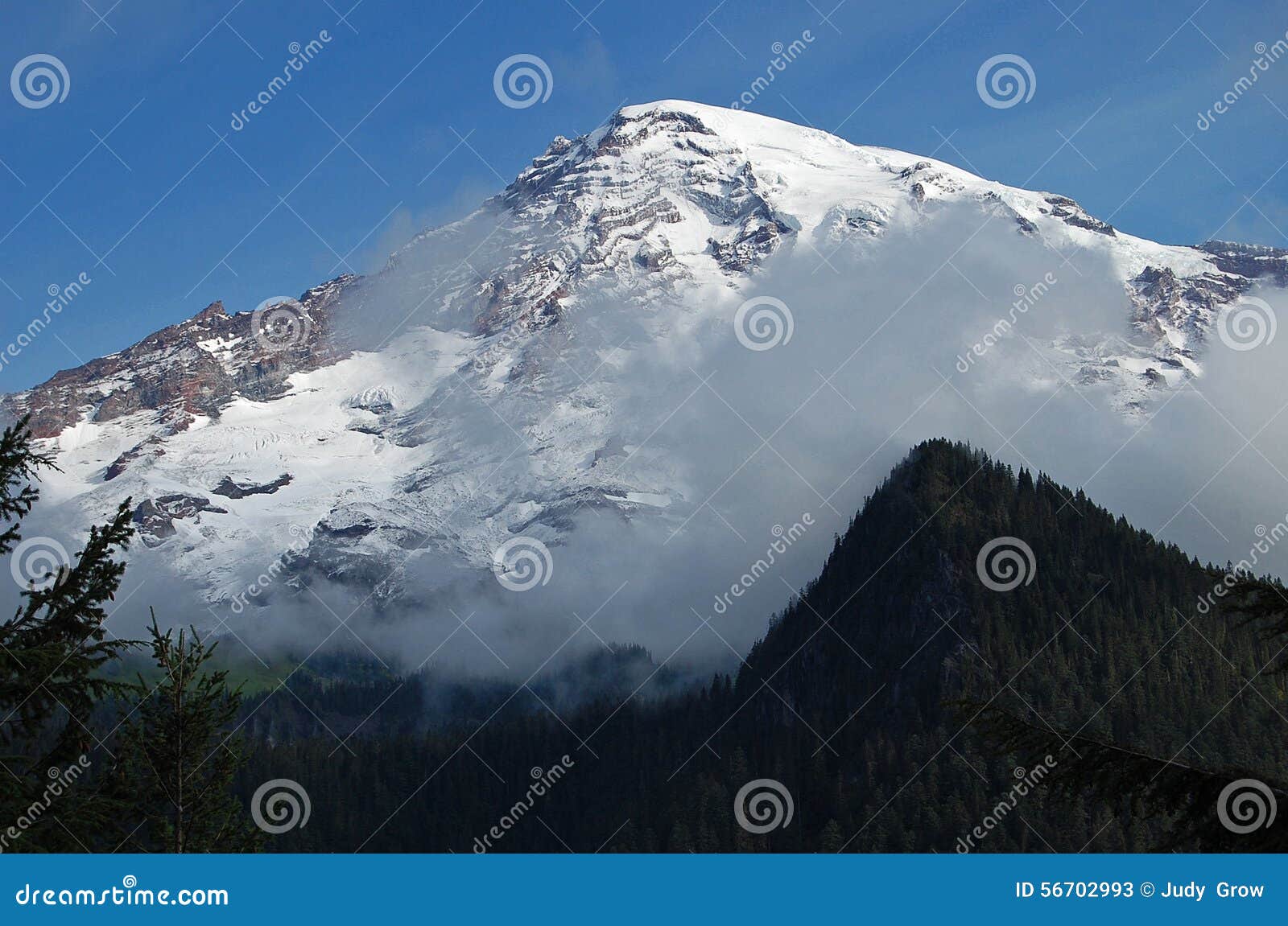 Snow-capped Mount Rainier stock image. Image of mount - 56702993