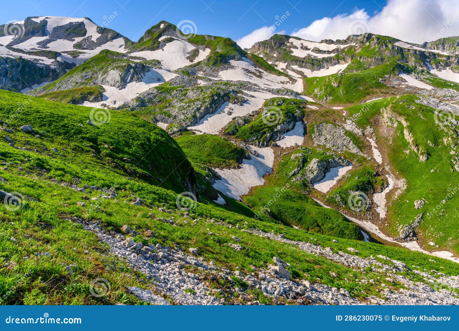 The Snow-capped Mountain Peaks in the Tropical Forest. Stock Image ...