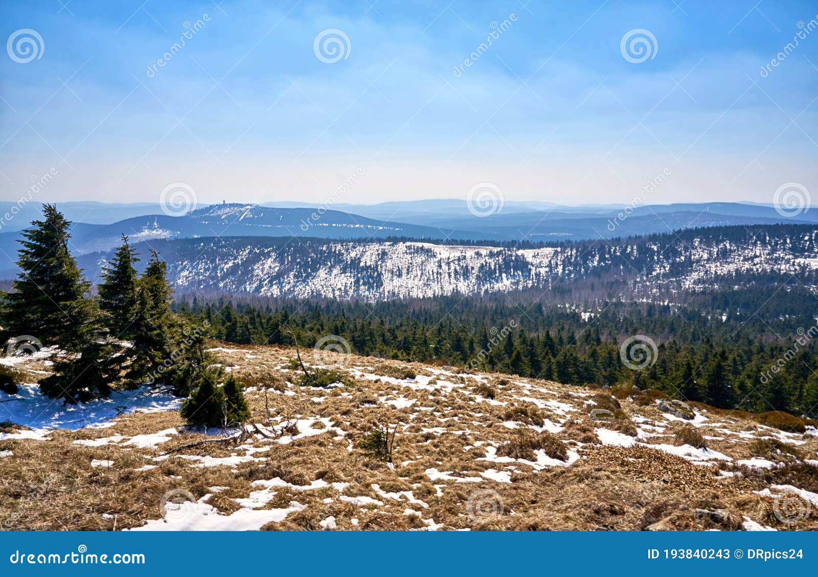 Snow Capped Mountains with Forest of Conifers. Blurred Mountains on the ...