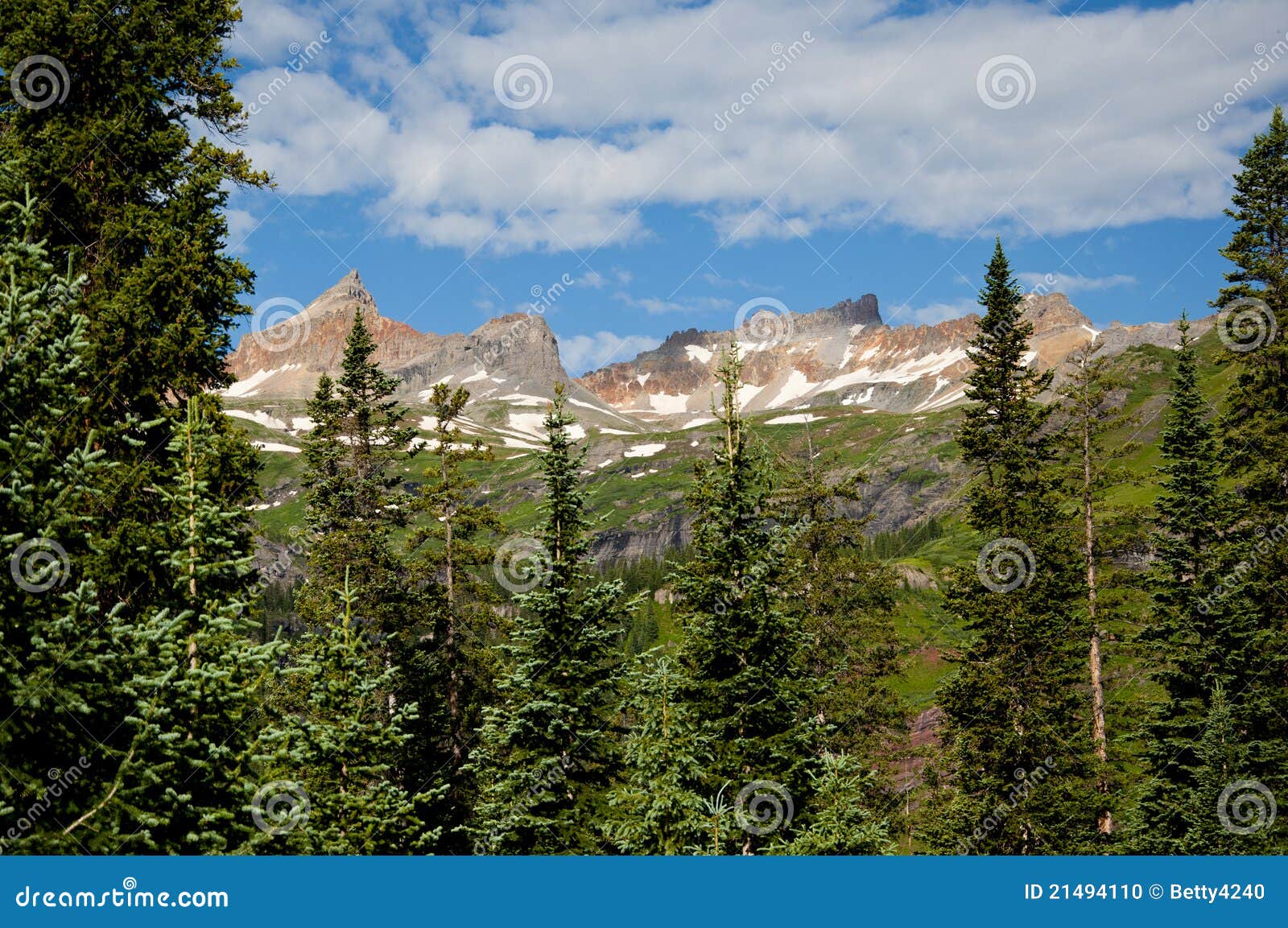 Snow-capped Mountains with Pine Trees. Stock Photo - Image of snow ...
