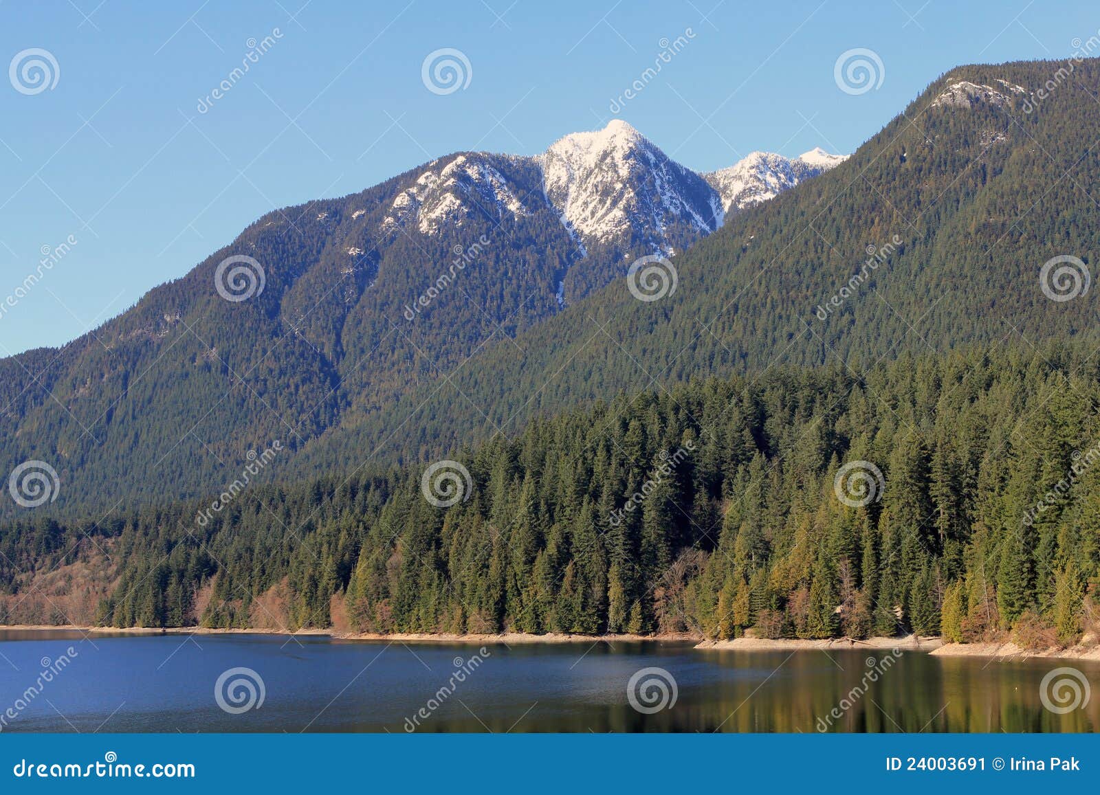 Snow-capped Peak and Forest Stock Image - Image of trees, summit: 24003691