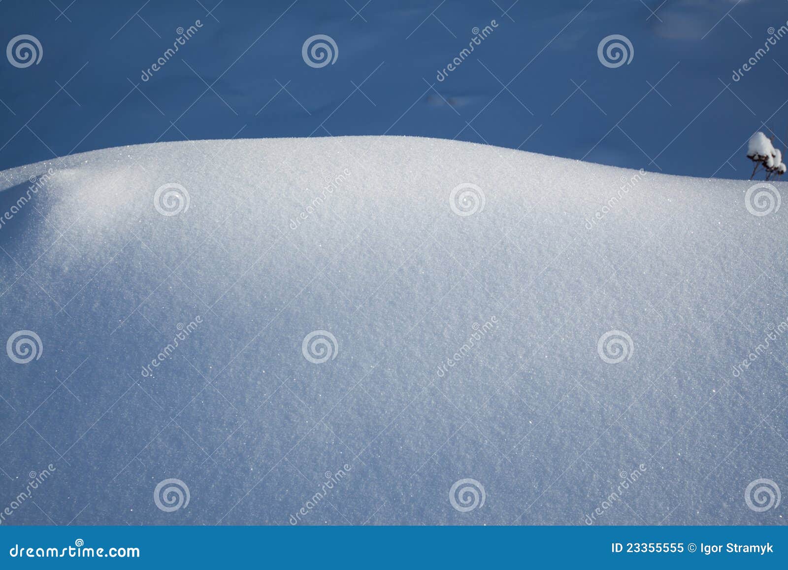 Snow carpet stock image. Image of chill, blue, covered - 23355555