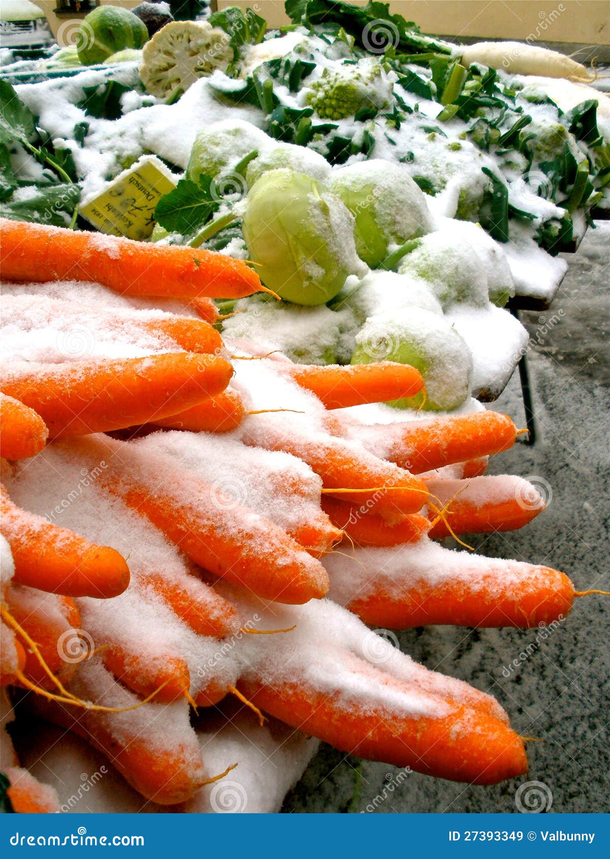 Snow Carrots stock image. Image of gemse, schnee, organic - 27393349