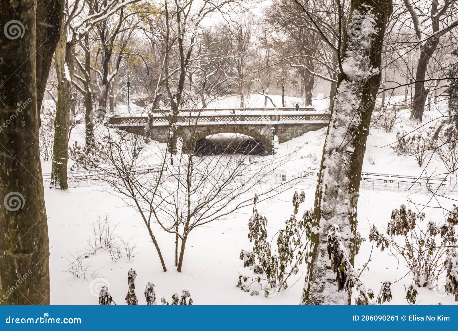 Snow in the city stock image. Image of buildings, blizzard - 206090261