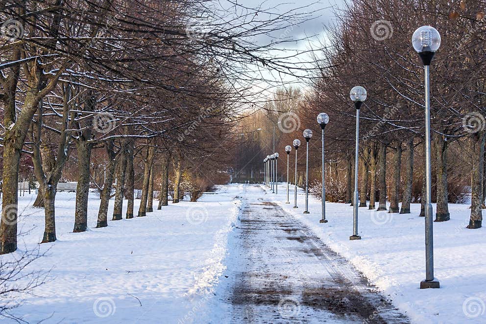 Snow Cleared from Walkway in Park. Stock Photo - Image of park ...