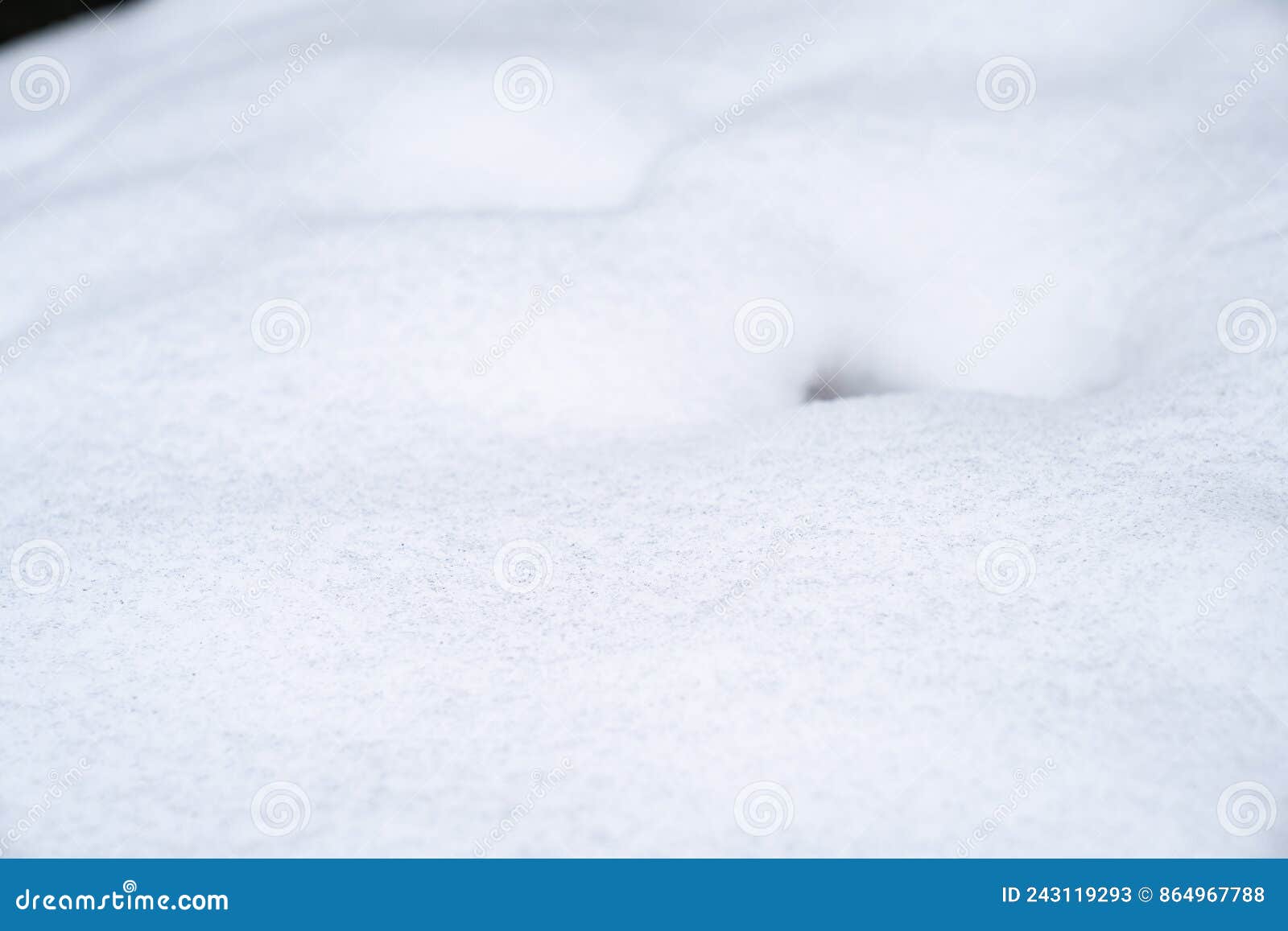 Snow on the Ground in Winter Stock Image - Image of park, vegetation ...