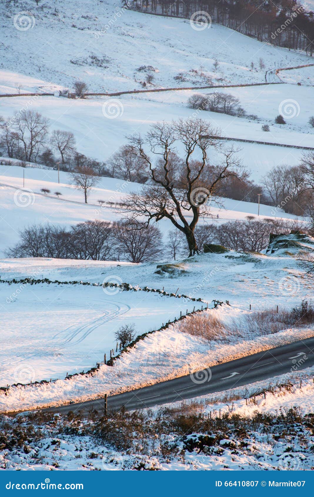 Snow in countryside stock image. Image of morning, landscape - 66410807