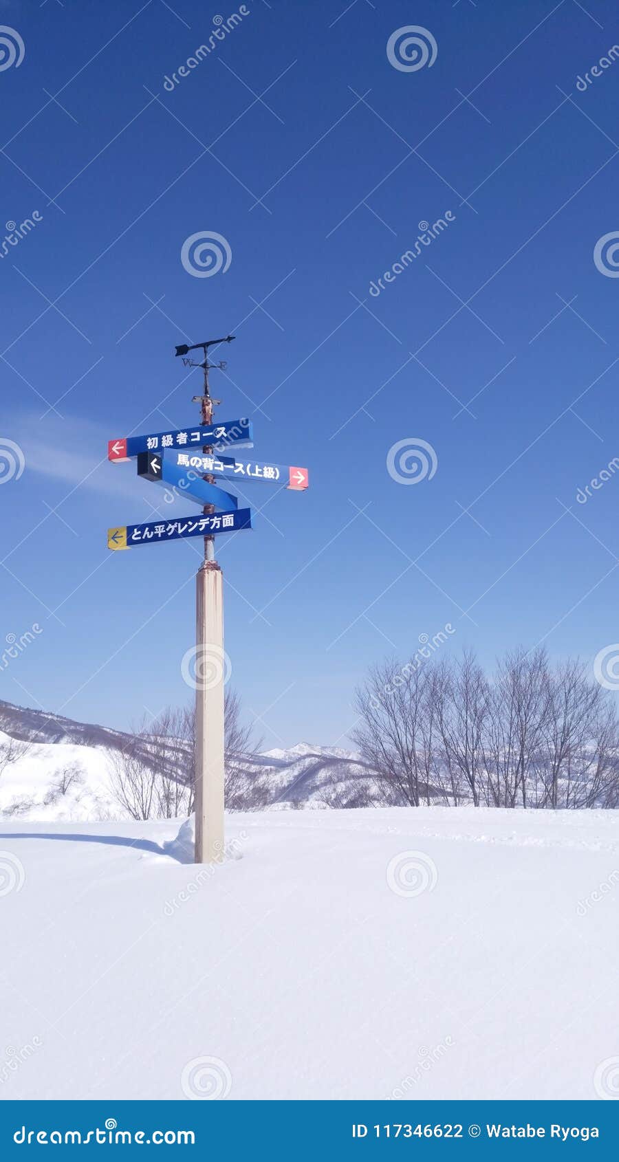 Snow Cover stock photo. Image of snow, sunny, blue, cover - 117346622