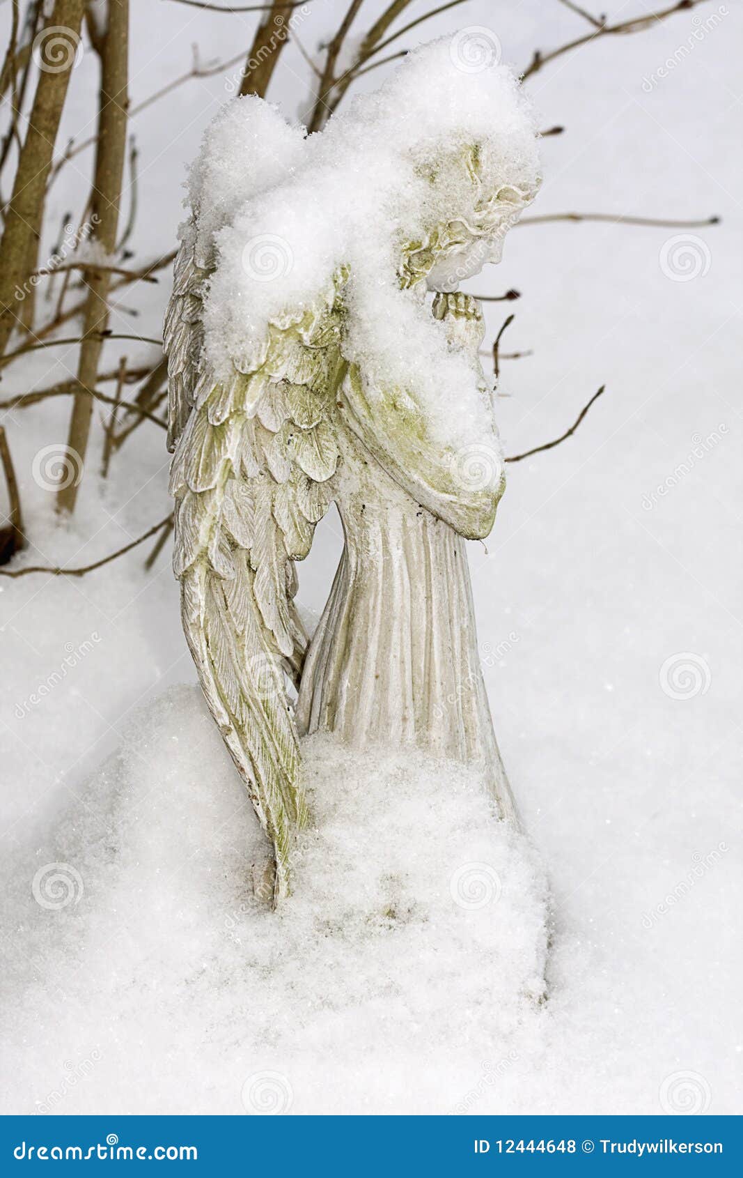 Snow Covered Angel stock photo. Image of figurine, angel - 12444648