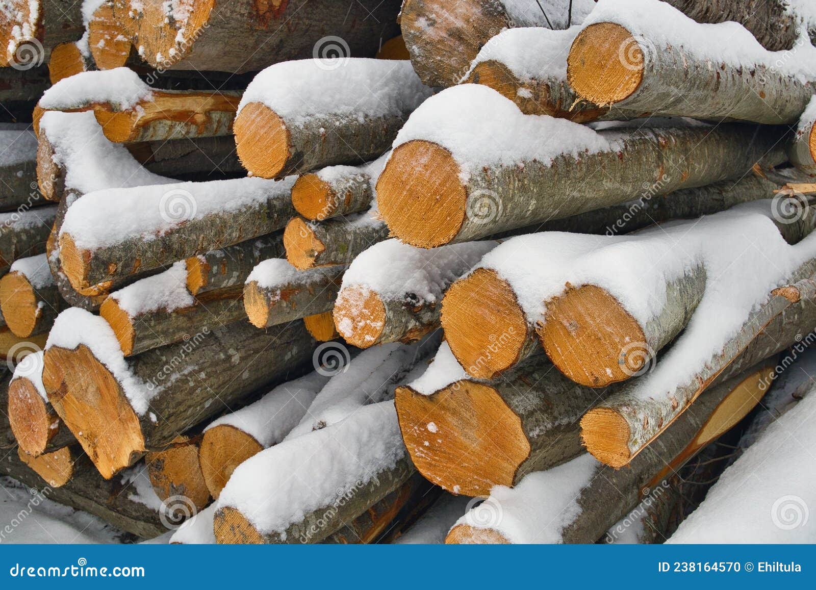 Snow Covered Aspen Tree Logs in Winter Stock Photo - Image of fuel ...