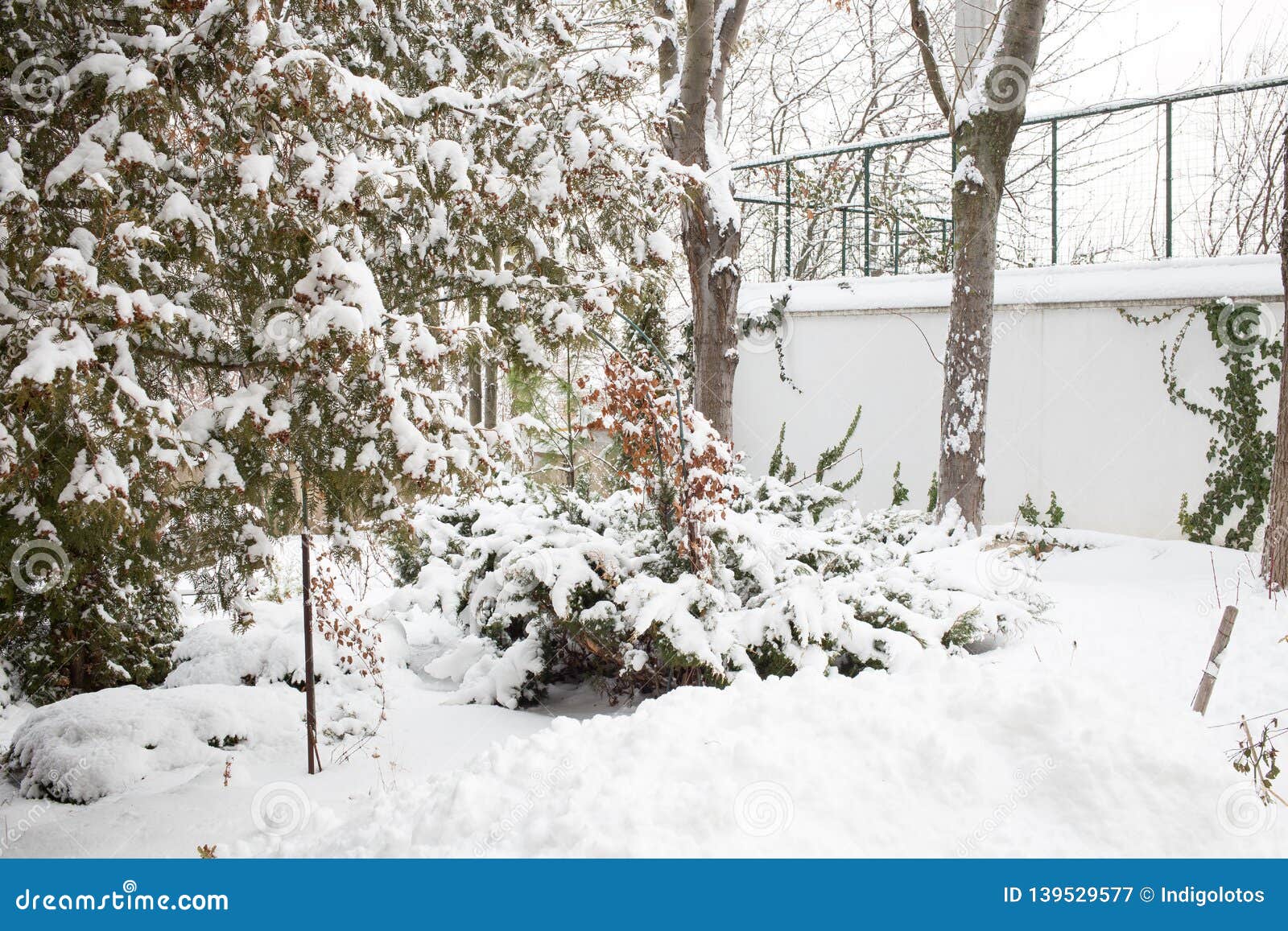 Snow covered backyard. stock image. Image of season - 139529577