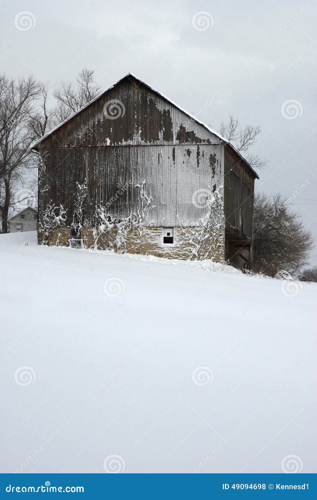 Snow covered barn stock photo. Image of farm, rural, building - 49094698