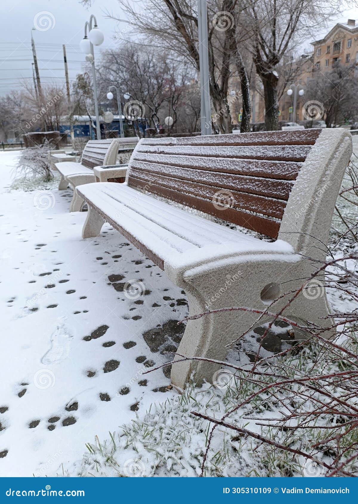 A Snow-covered Bench in the City Park Stock Image - Image of park ...