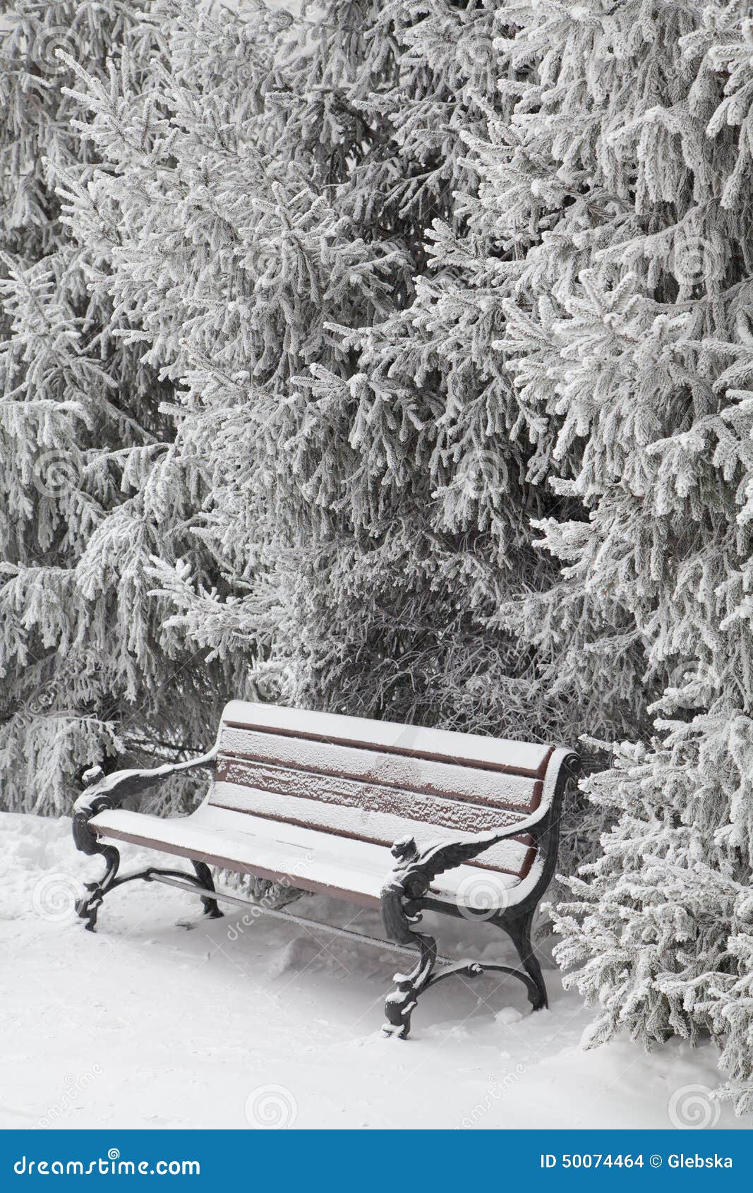 Snow-covered Bench in City Park Stock Photo - Image of december ...