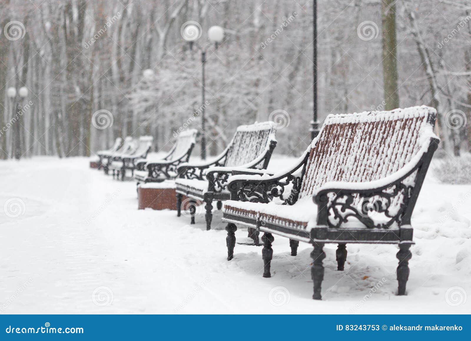 Snow-covered Bench in a City Park in the Winter Stock Image - Image of ...