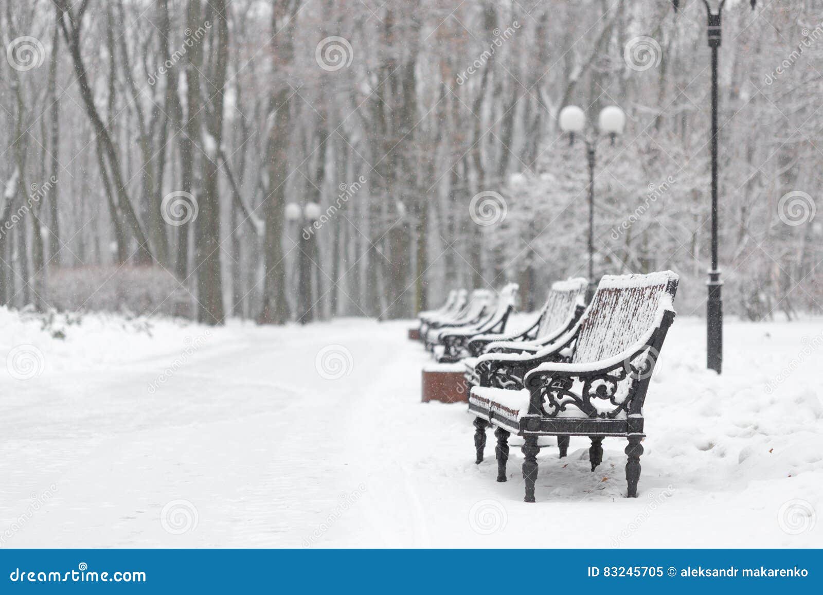 Snow-covered Bench in a City Park in the Winter Stock Image - Image of ...