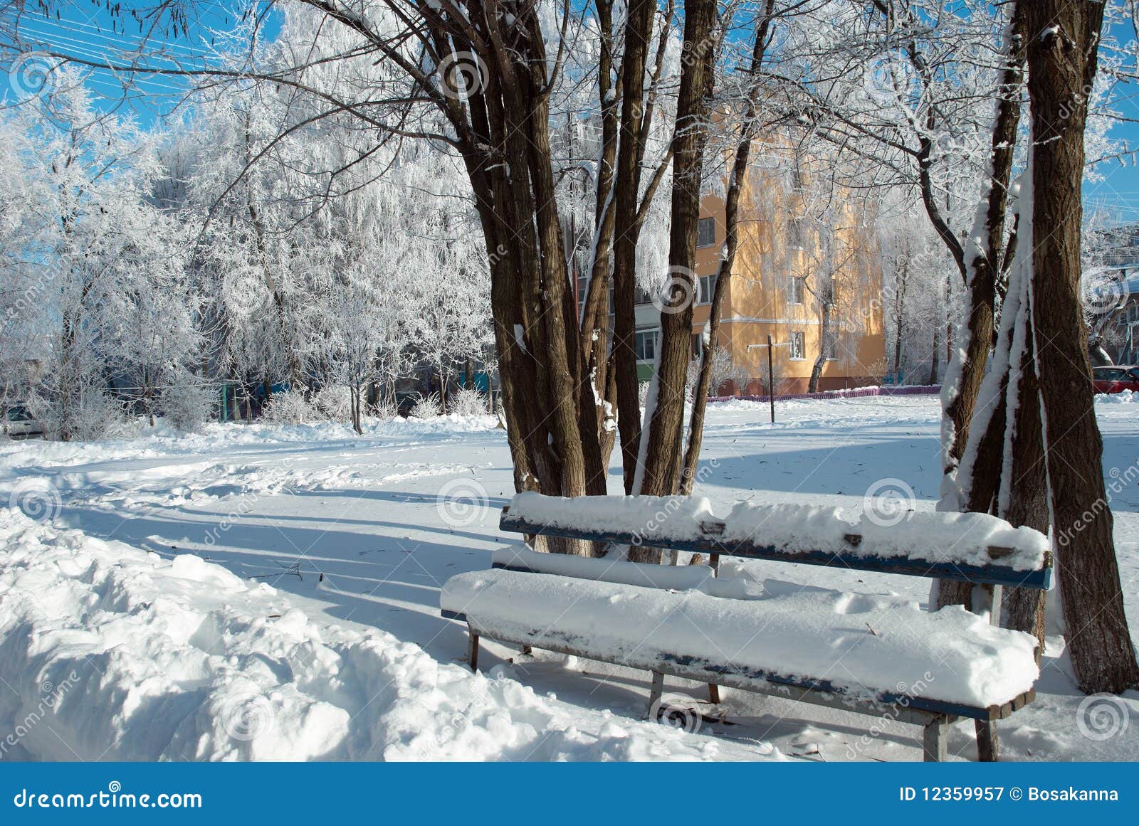 Snow Covered Bench Near the Trees Stock Image - Image of frost, cool ...