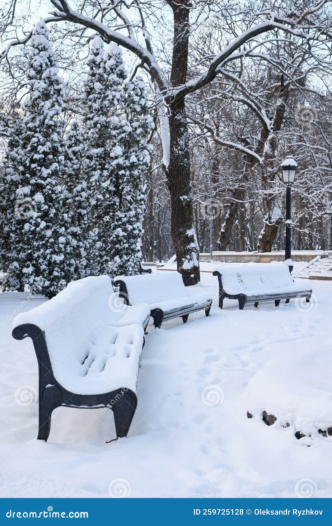 Snow Covered Bench in a Park Stock Photo - Image of bushes, seasonal ...