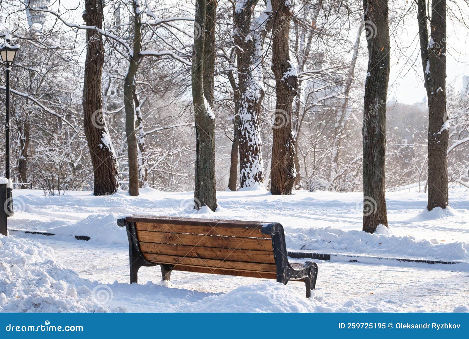 Snow Covered Bench in a Park Stock Image - Image of seasonal, misty ...