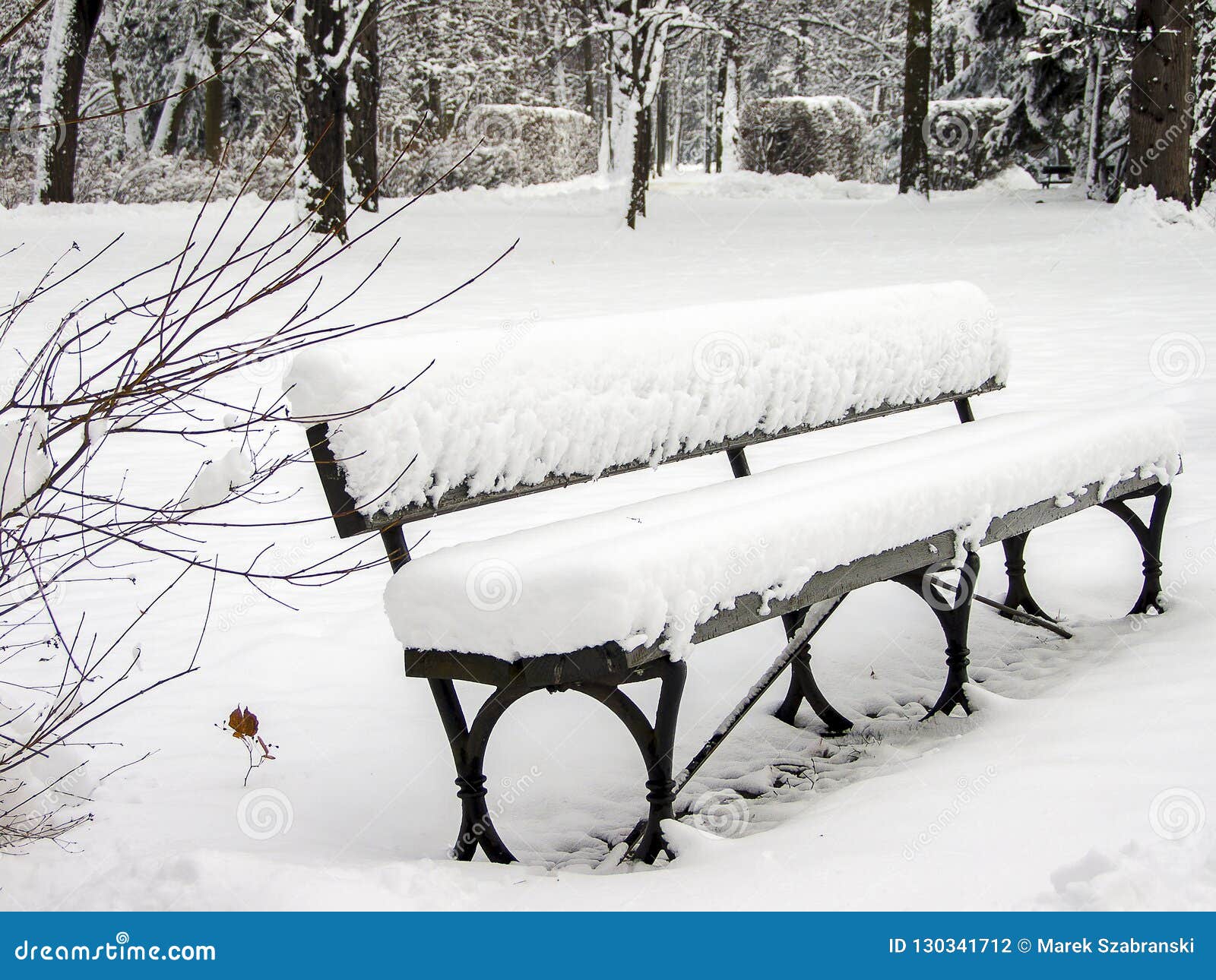 Snow-covered Bench in the Park Stock Photo - Image of forest, side ...