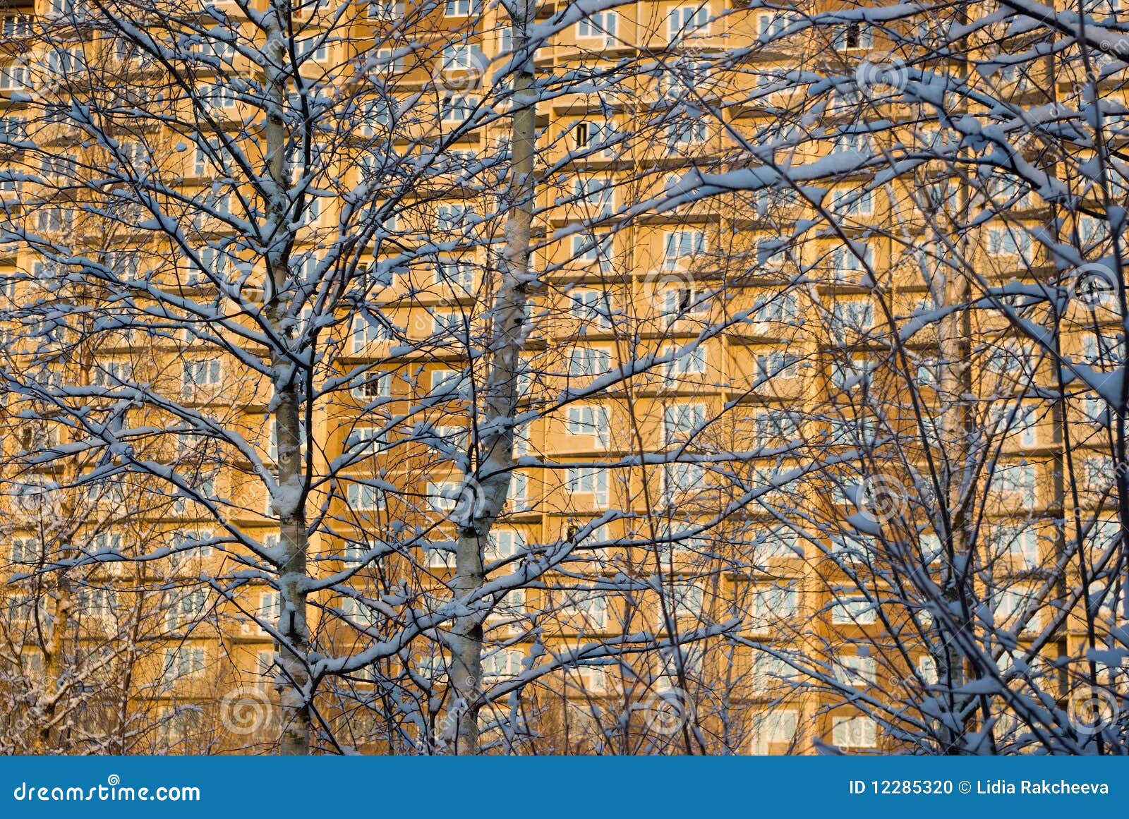 Snow Covered Birch Branches Against House Backgrou Stock Photo - Image ...