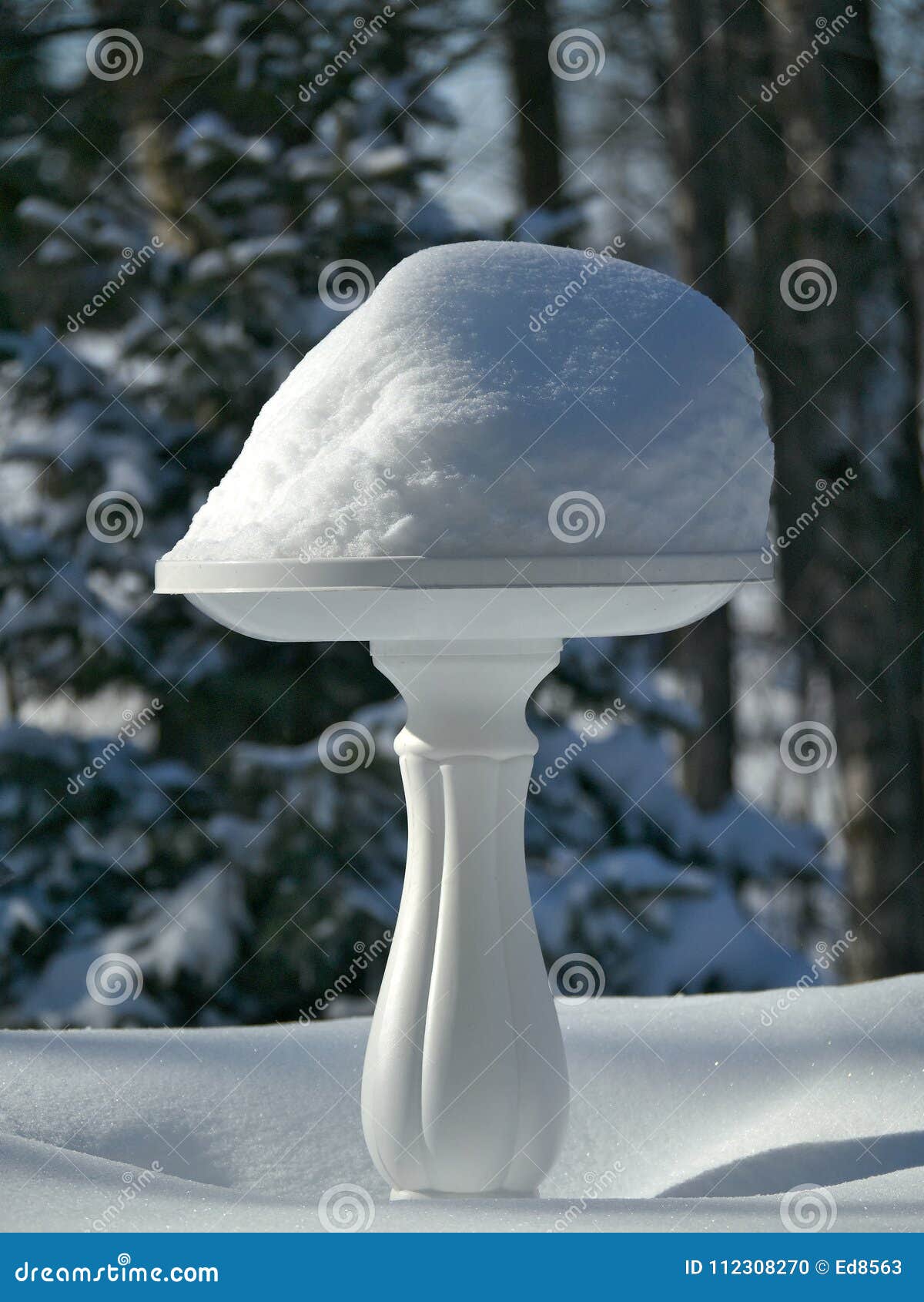 5,625 Snowflake Sunshine Stock Photos - Free & Royalty-Free Stock ...