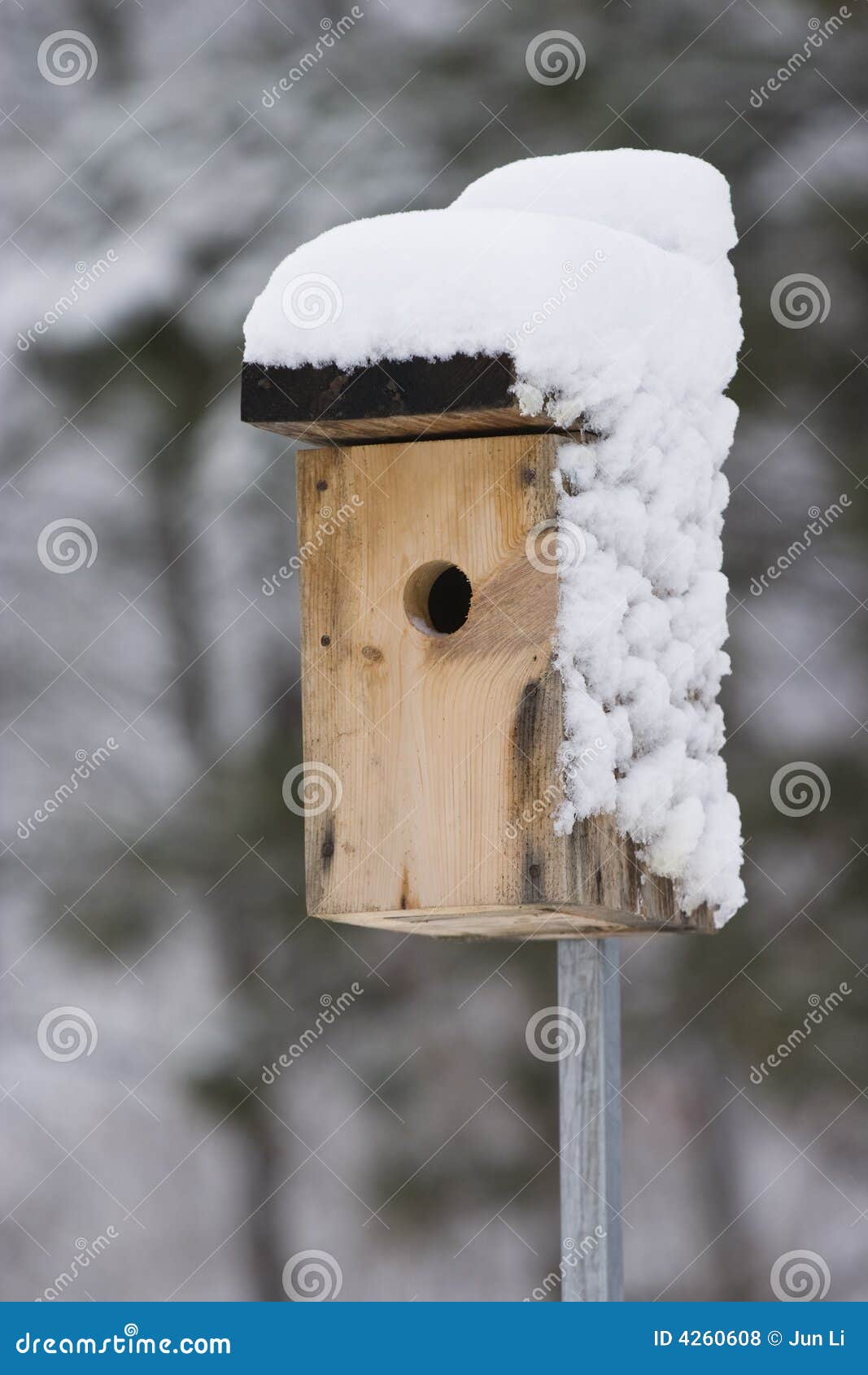 Snow covered bird house stock photo. Image of pole, house - 4260608