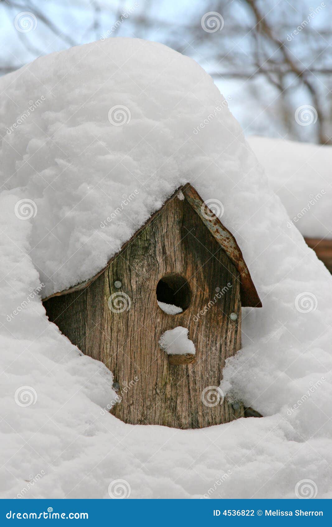 Snow covered bird house stock photo. Image of freezing - 4536822