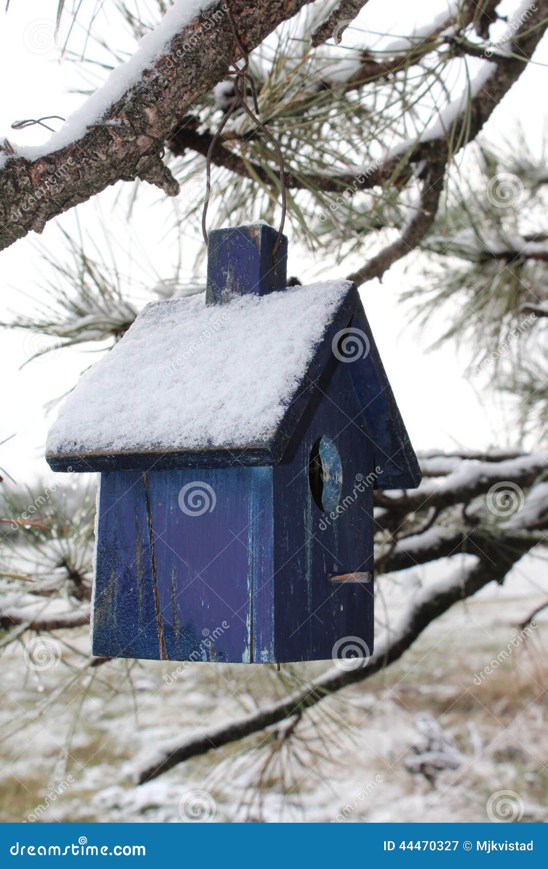 Snow Covered Blue Bird House in a Pine Tree Stock Image - Image of ...