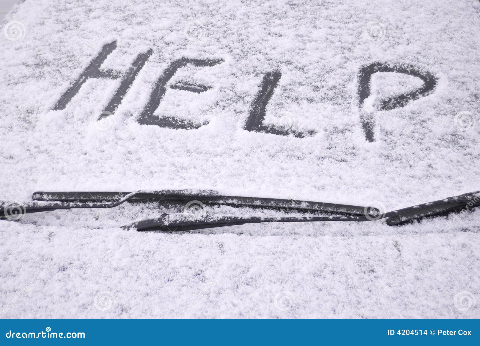 Snow Covered Car Windscreen Stock Photo - Image of whiteout, help: 4204514