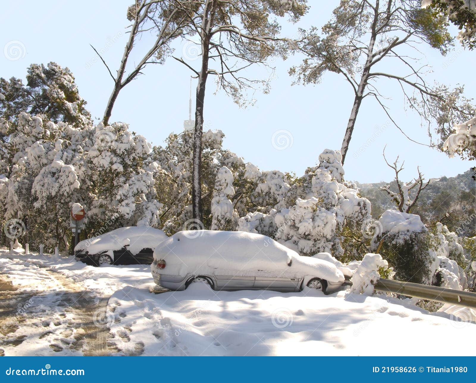 Snow covered cars stock photo. Image of nature, climate - 21958626