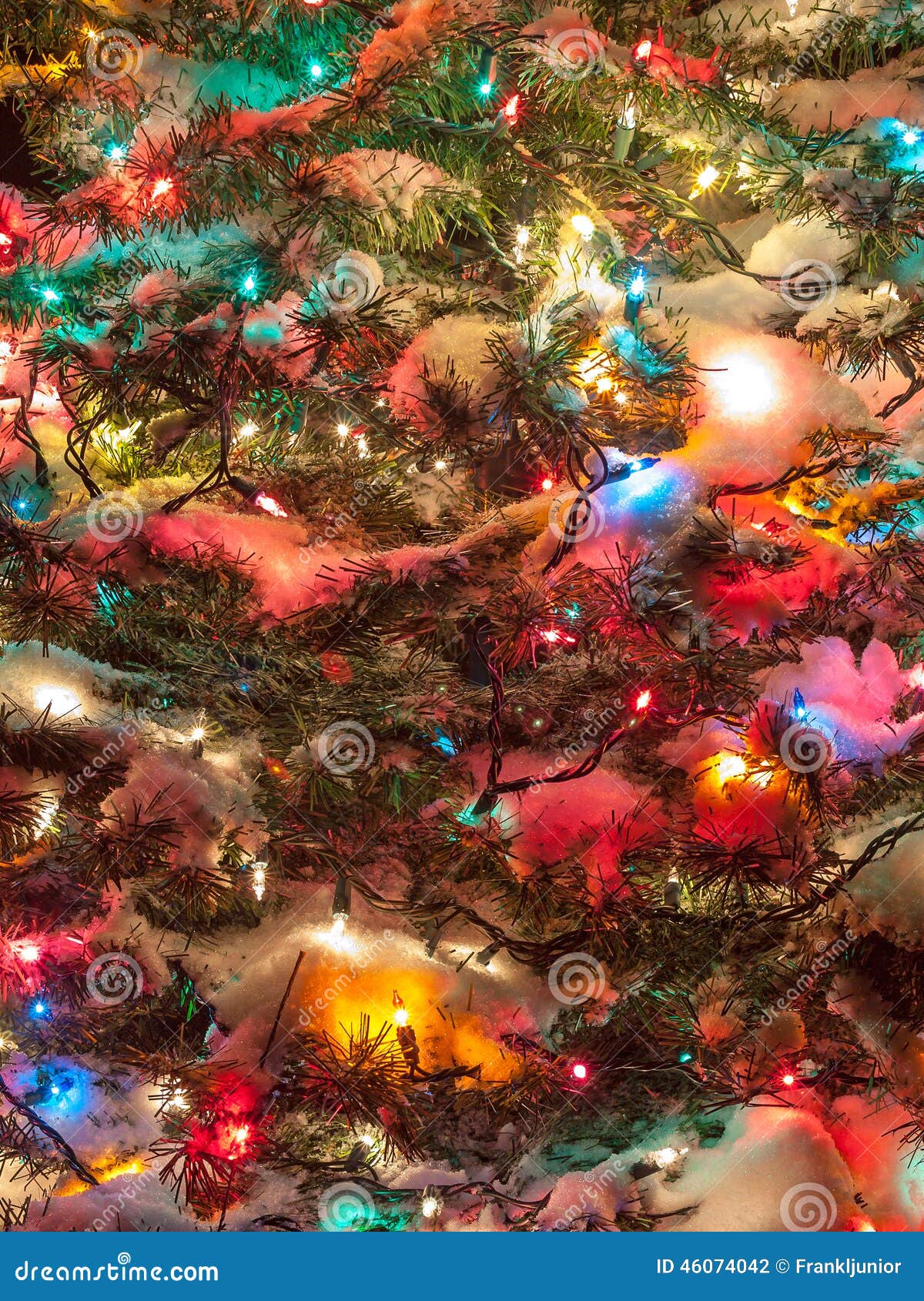 Snow Covered Christmas Tree Stock Photo - Image of illuminated ...