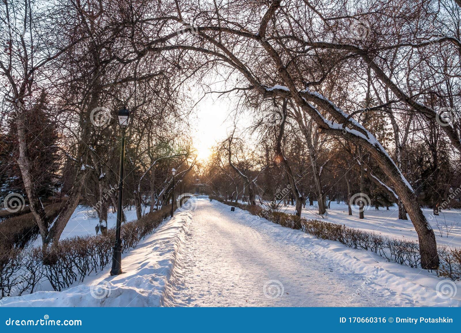 Snow Covered City Park in Winter Stock Photo - Image of sunlight, cold ...