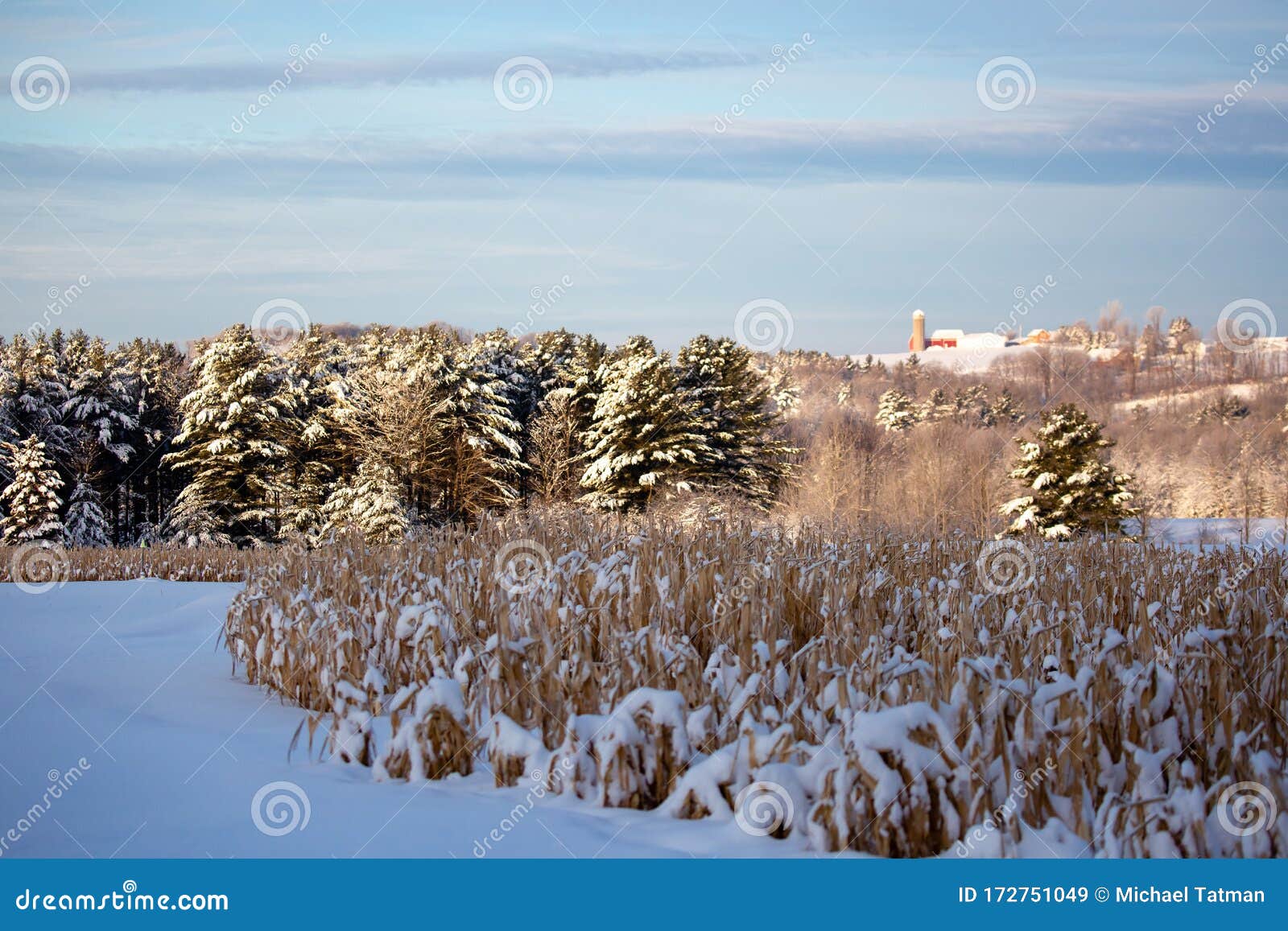 Snow Covered Cornfield, Forest and Farm in Central Wisconsin in January ...