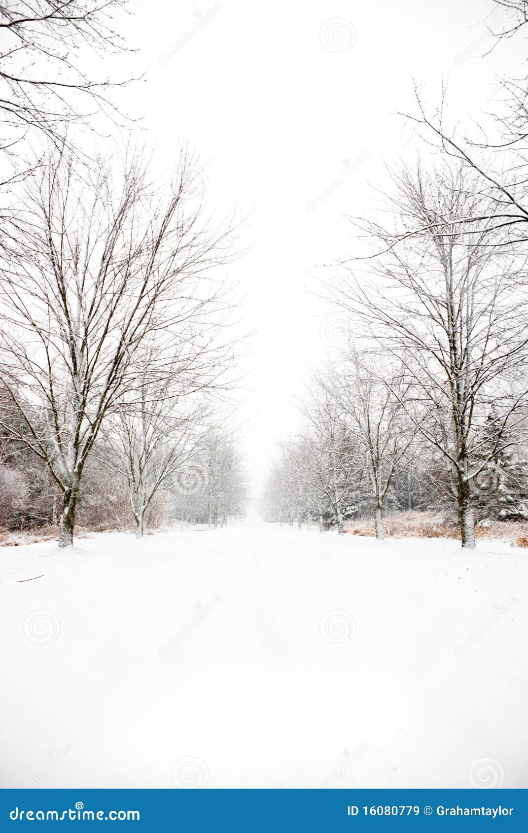 Snow covered country road stock image. Image of cold - 16080779