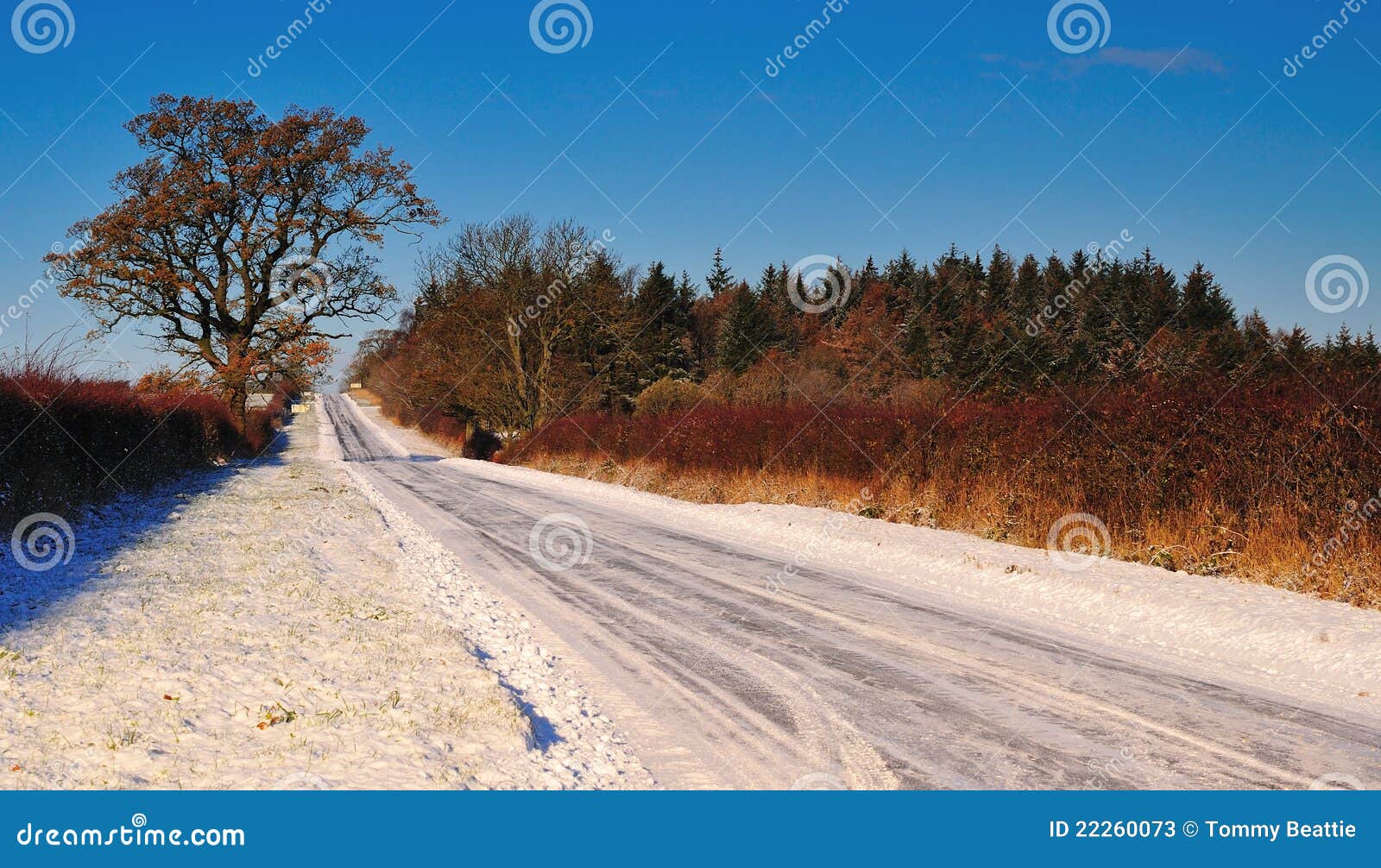 Snow covered country road stock image. Image of road - 22260073