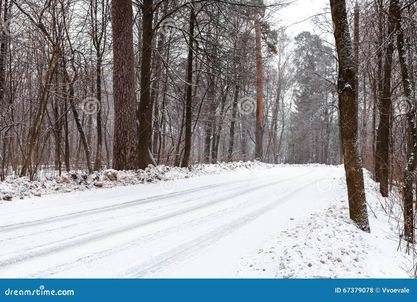 Snow-covered Country Road in Forest in Winter Stock Photo - Image of ...