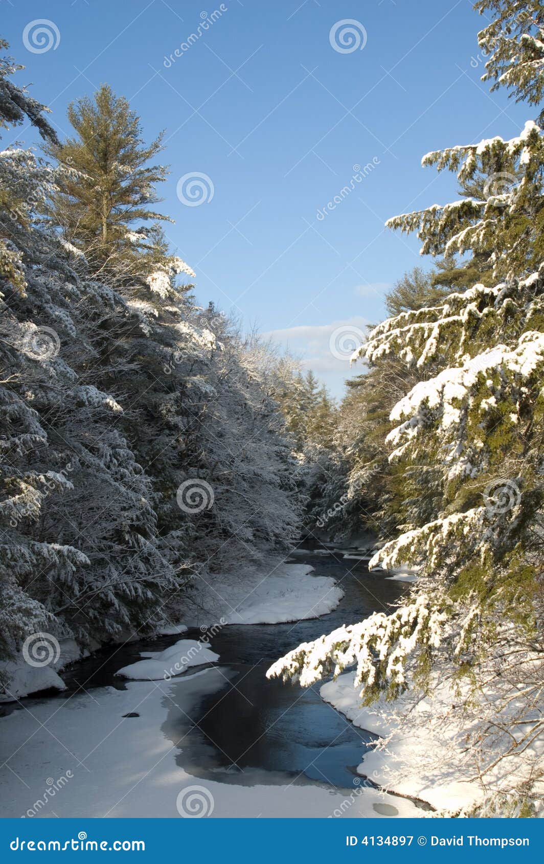 Snow Covered Creek in Pine Forest Stock Image - Image of morning, trees ...