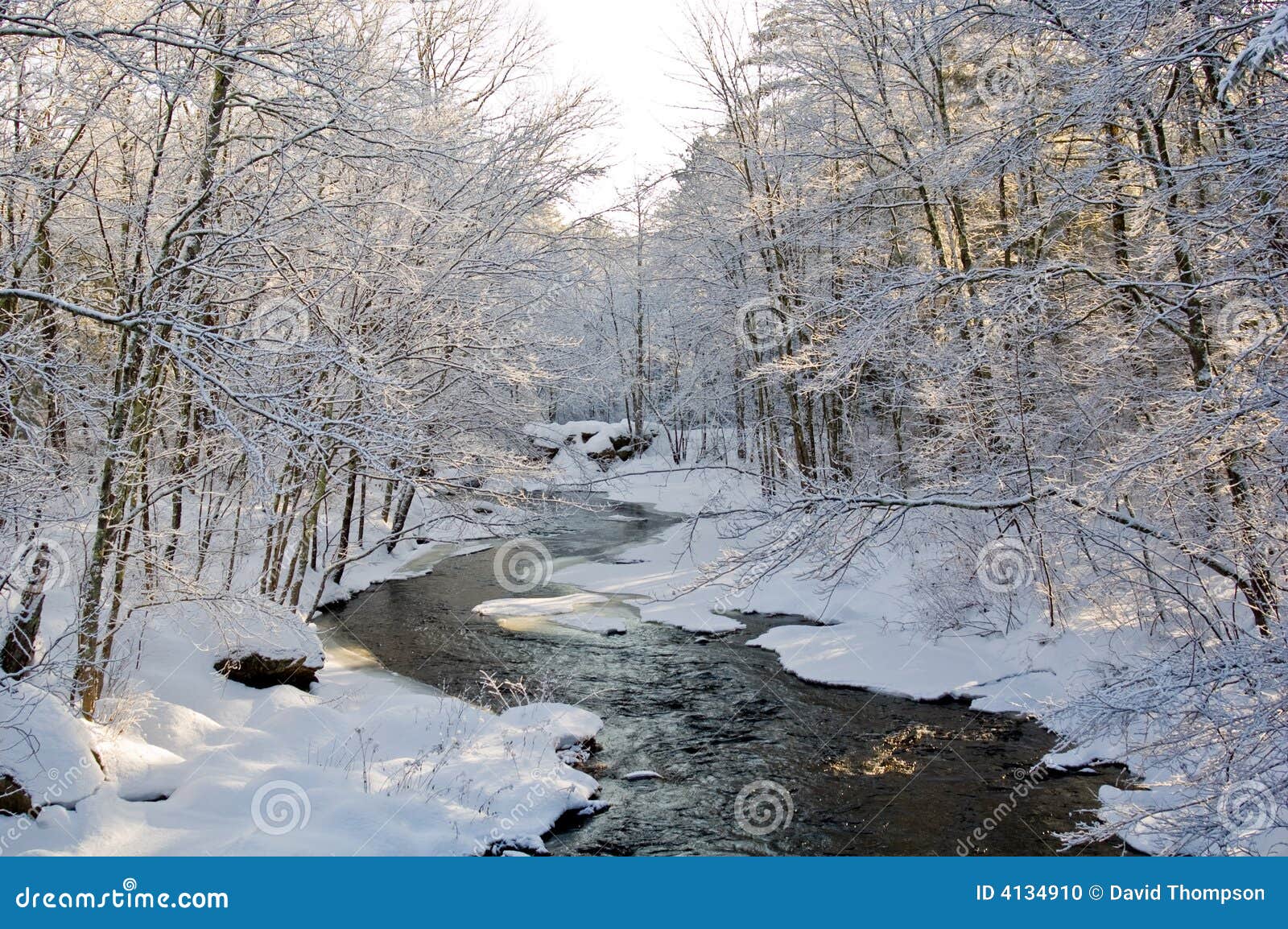 Snow Covered Creek in Pine Forest Stock Photo - Image of nature, rural ...