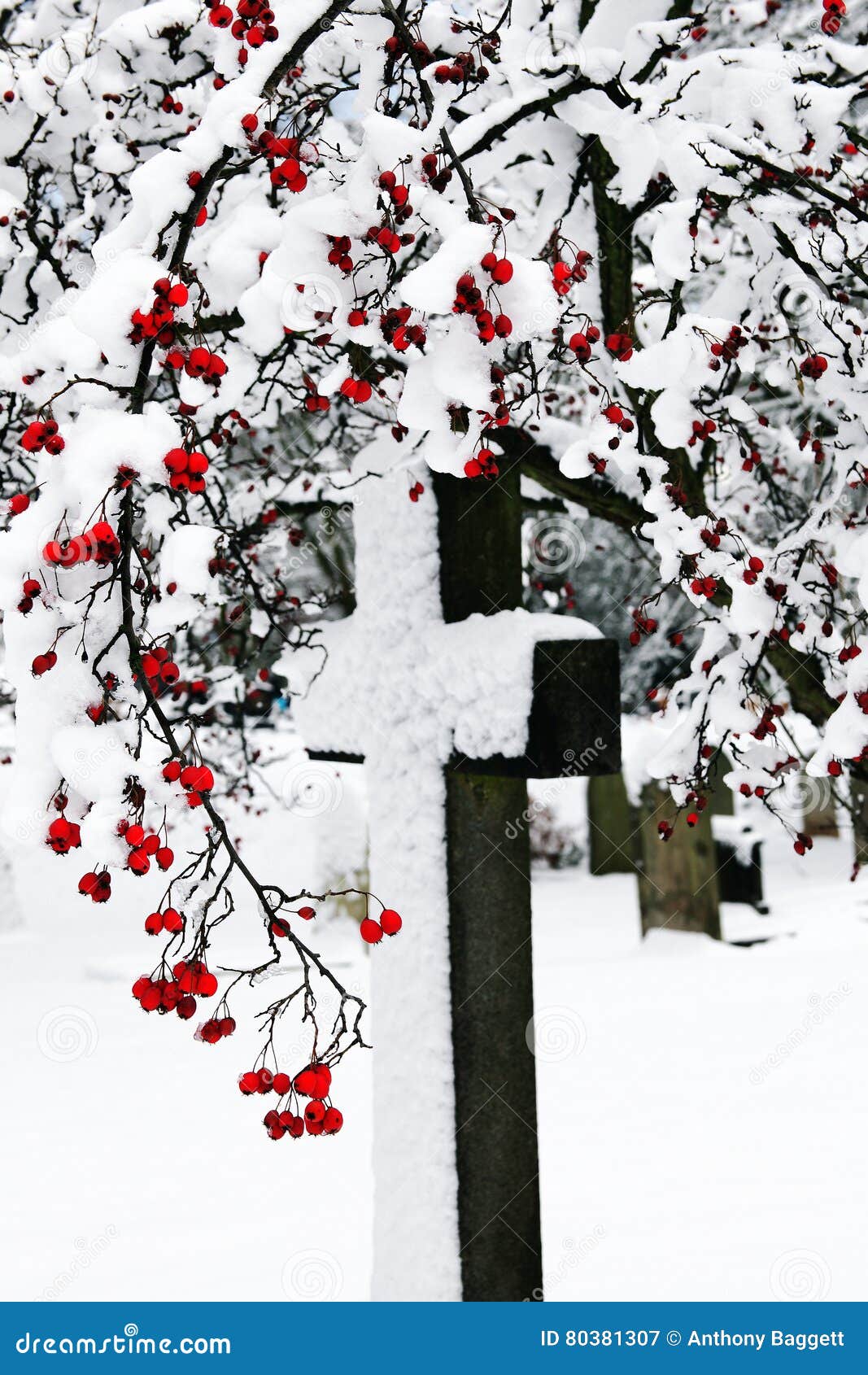 Snow covered cross stock image. Image of funeral, covered - 80381307