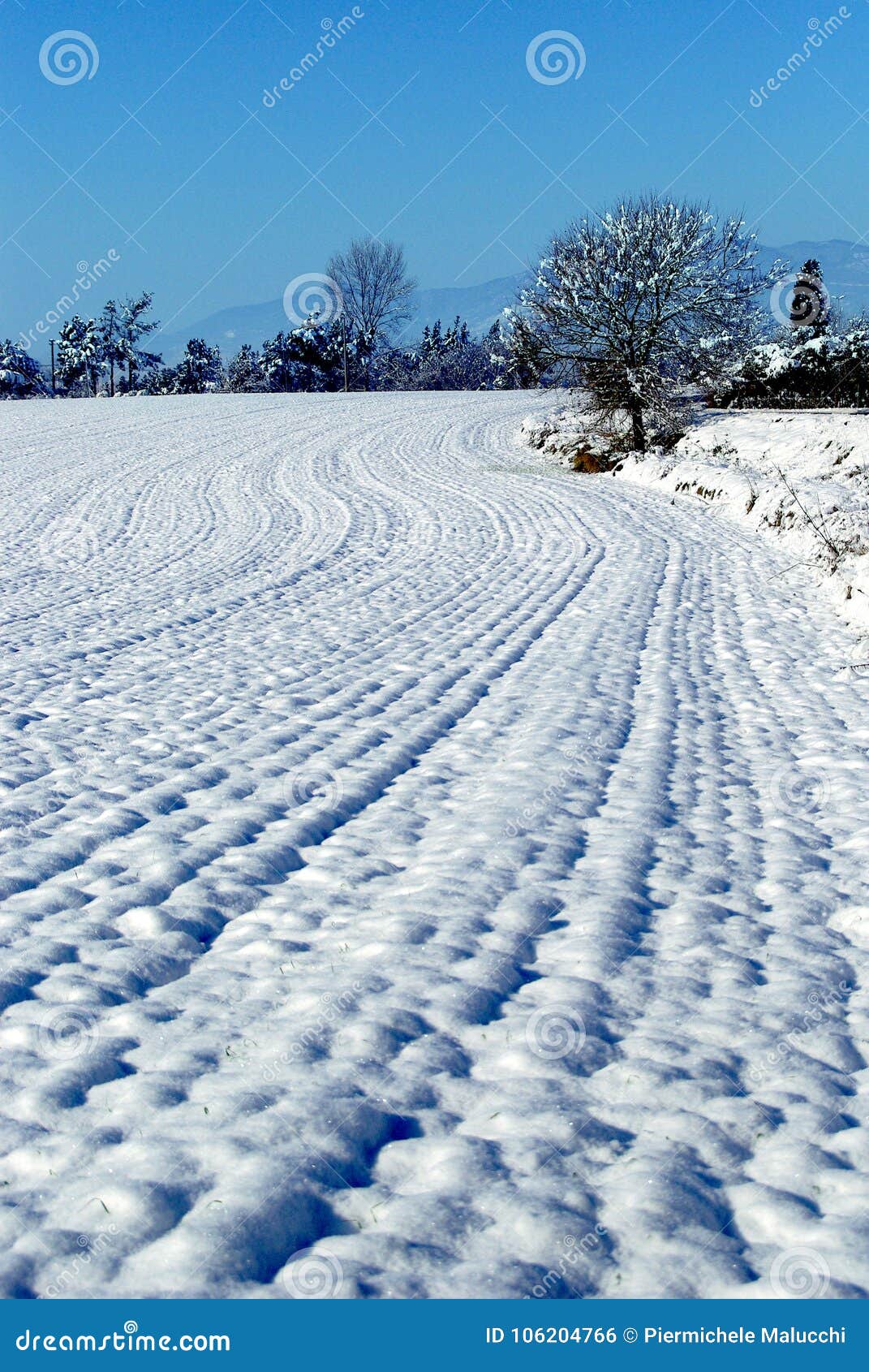 Field covered with snow stock photo. Image of outdoor - 106204766