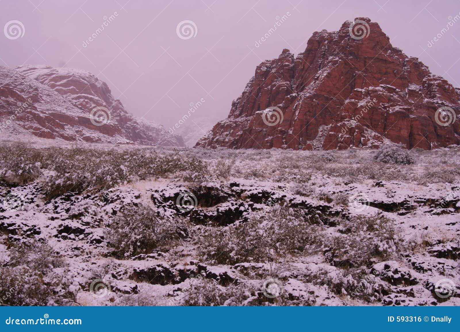 Snow Covered Desert Red Rock Stock Photo - Image of rock, snowy: 593316